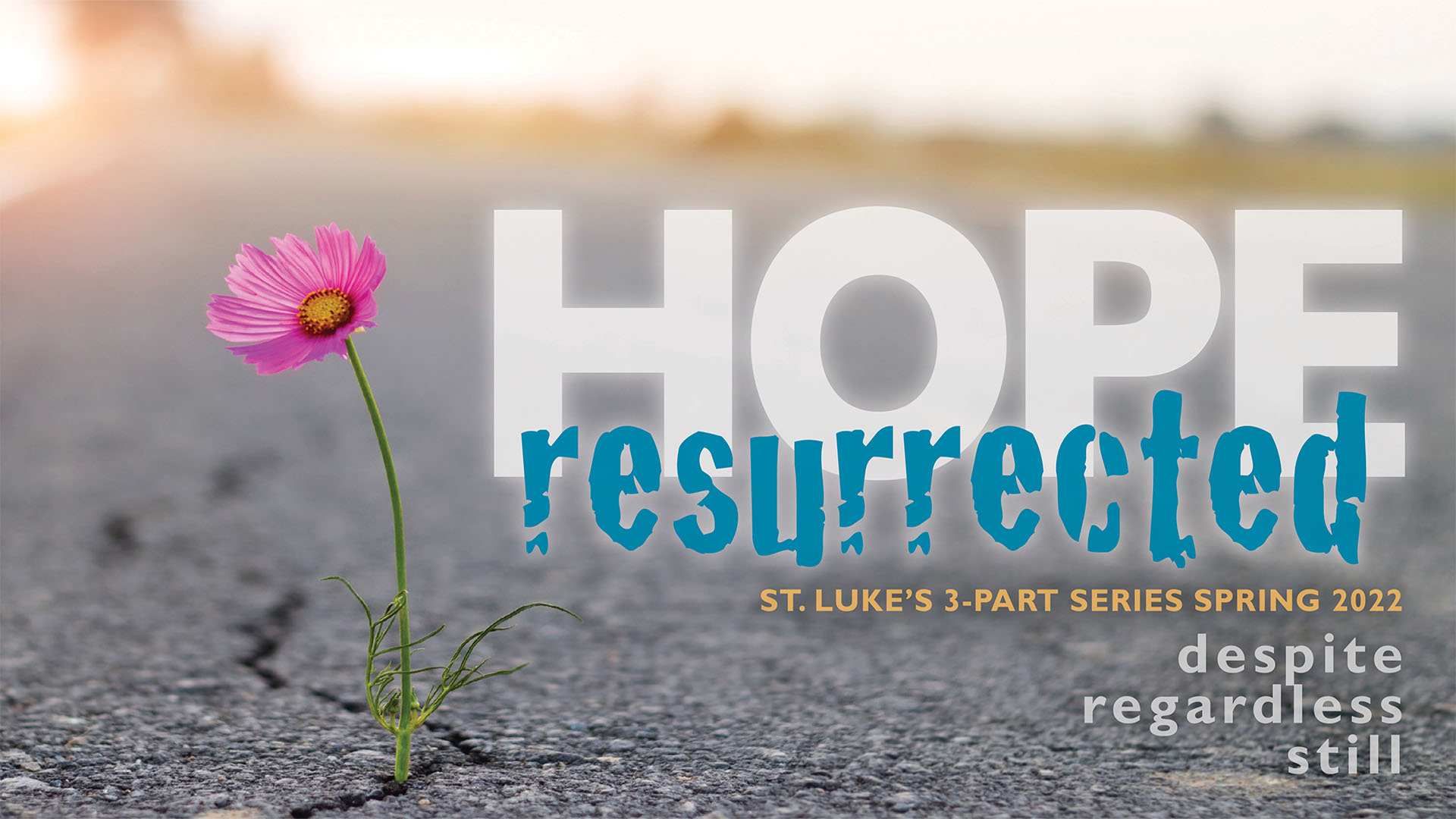 Hope, Resurrected
